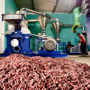 Full auto Papadam Processing Machine – IK Lanka Engineering Solutions